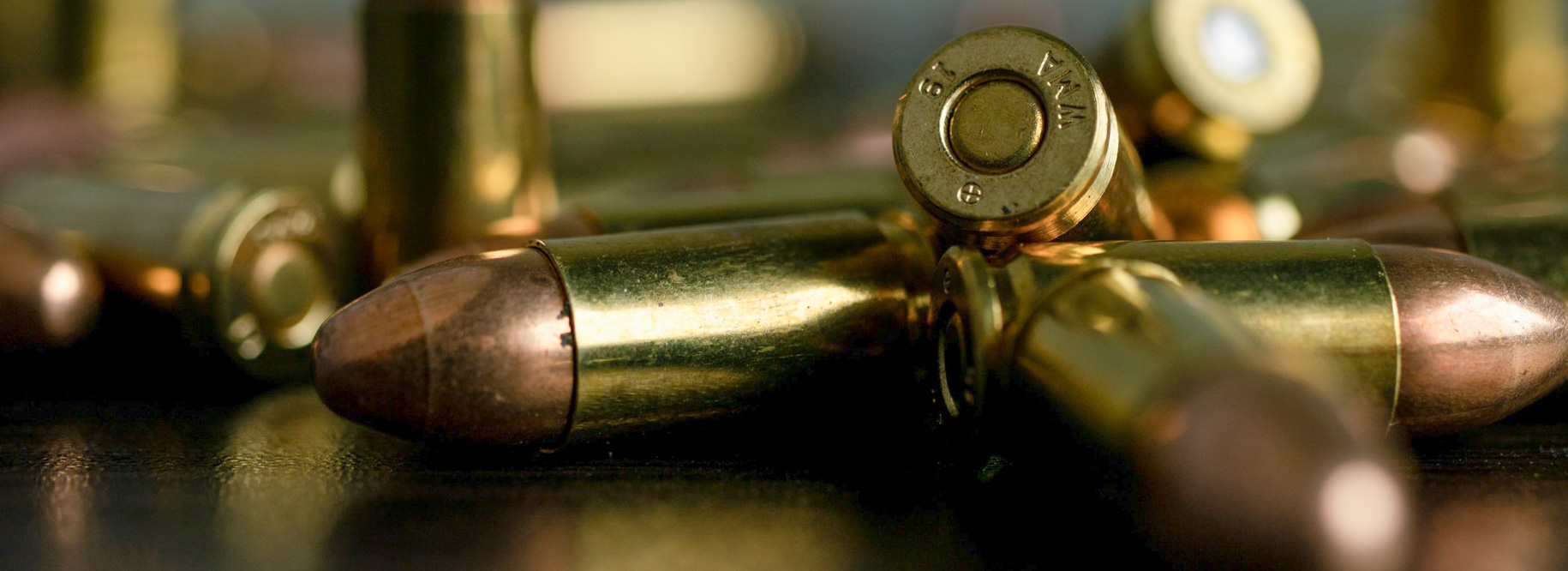 Firearm Caliber - Bianchi Journal